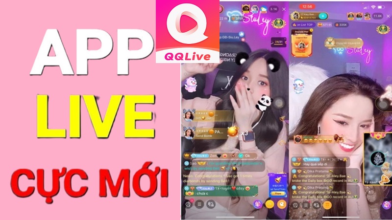 Live Sex Qqlive 6 Lý Do Bạn Nên Chọn “quẤt LiỀn” App Này NỀn TẢng